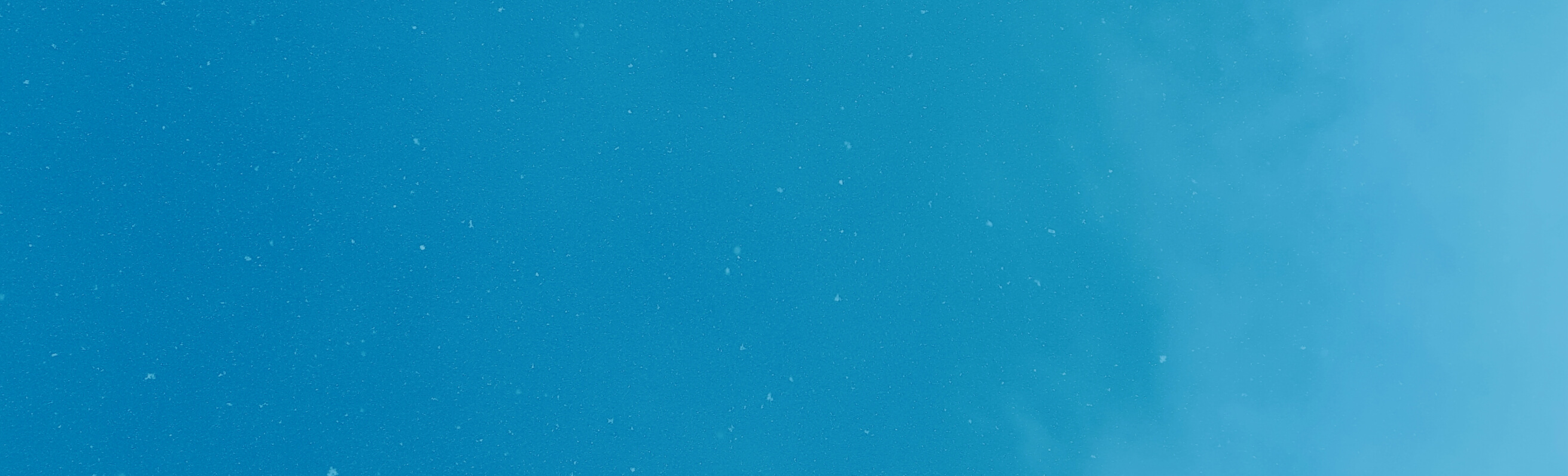 企業情報 | JTP株式会社